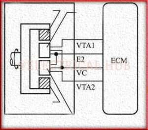 Throttle Position Sensor Working & Types: Best Guide : Electrical ...